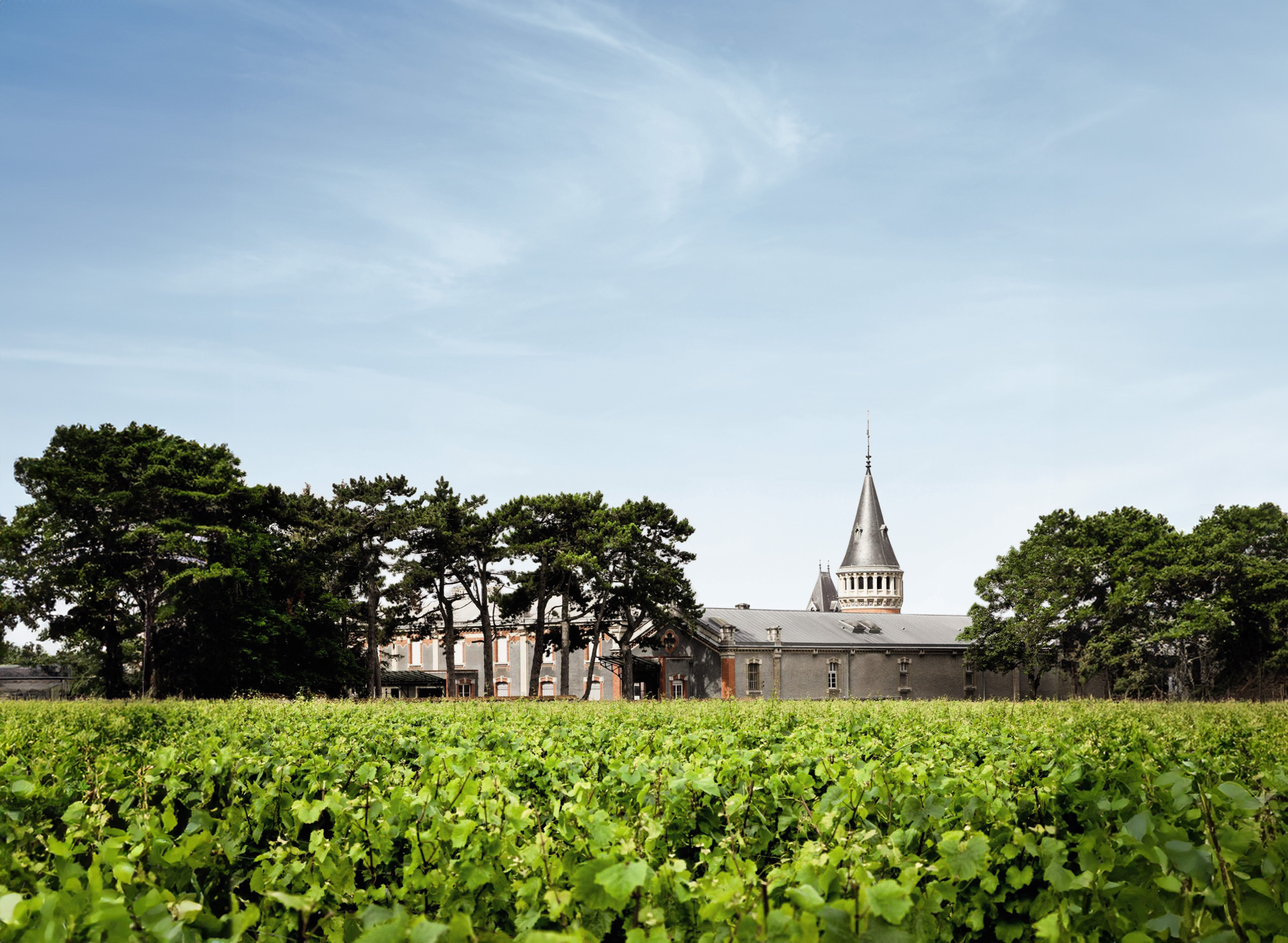 Visiter le Domaine Pommery (EN) | Vranken